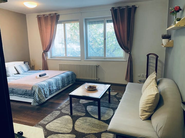 Cozy Studio Heart In The Old Town's Heart - Bratislava