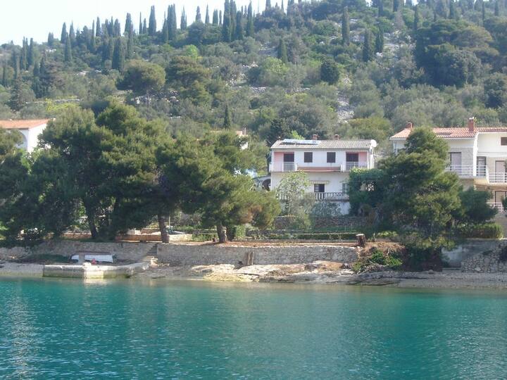 Apartmani Višnja 1 - Otok Ošljak (Kraj Zadra) - 長島