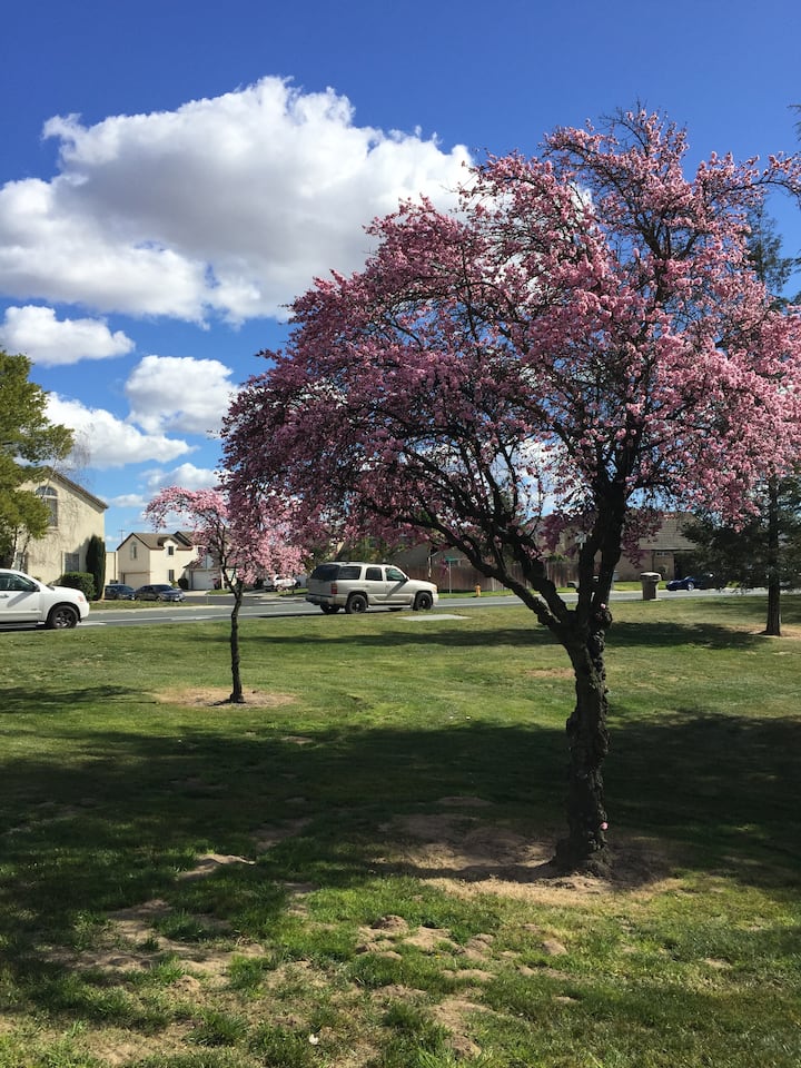 3br/3ba/3g Home – Large, Ac, Wifi, 5-star Location - Manteca, CA