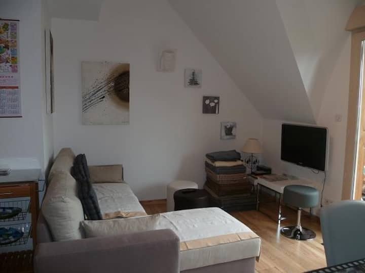 Appartement N°7 Terrasse Puy Du Rocher - Le Lioran (Super Lioran)