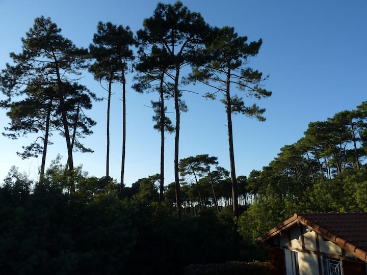 Maison Calme & Chaleureuse, Prox. Mer, 9 Personnes - Capbreton