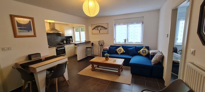 Appartement Tout Confort Avec Garage Privé - Strasbourg