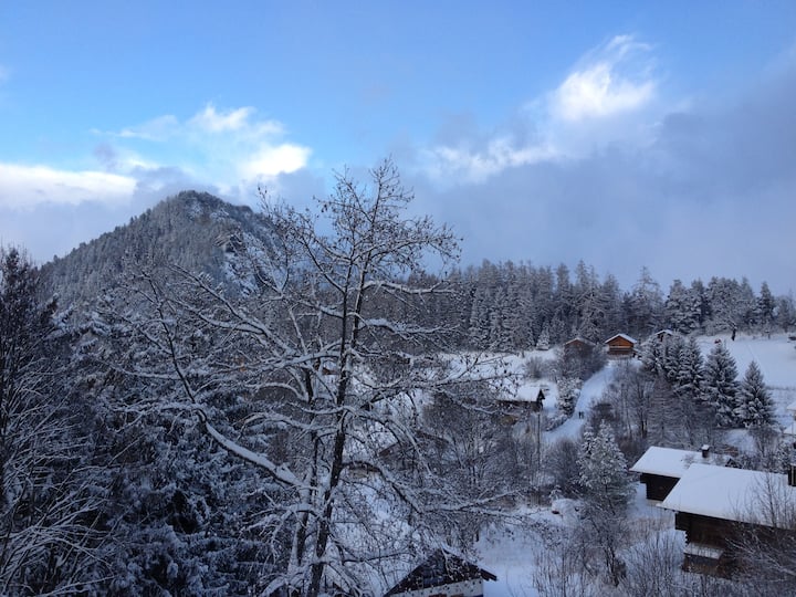 Bel Appartement - Calme Et Vue - Ovronnaz - Ovronnaz