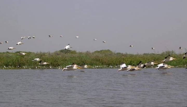 Auberge Bar Restaurant Cœur Océan Joal Fadiouth - Senegal