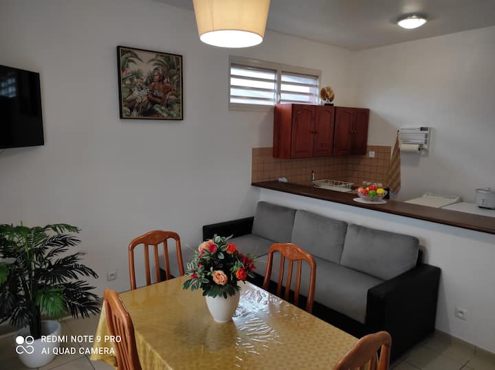 Appartement 2 Chambres Meublé En Rdc - Cayenne