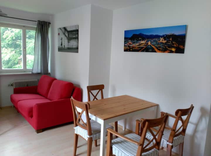 Schöne Helle Wohnung In Ruhiger Gegend - Eugendorf