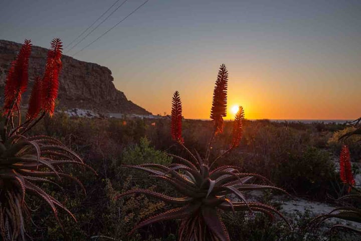 Ocean View Surf Escape • 100m To Beach - Elands Bay