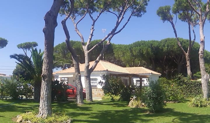 Gran Oasis  Covid_free  Jardín Piscina Chiringuito - Chiclana de la Frontera