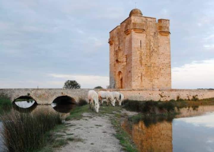 Maison En Camargue - Saint-Laurent-d'Aigouze