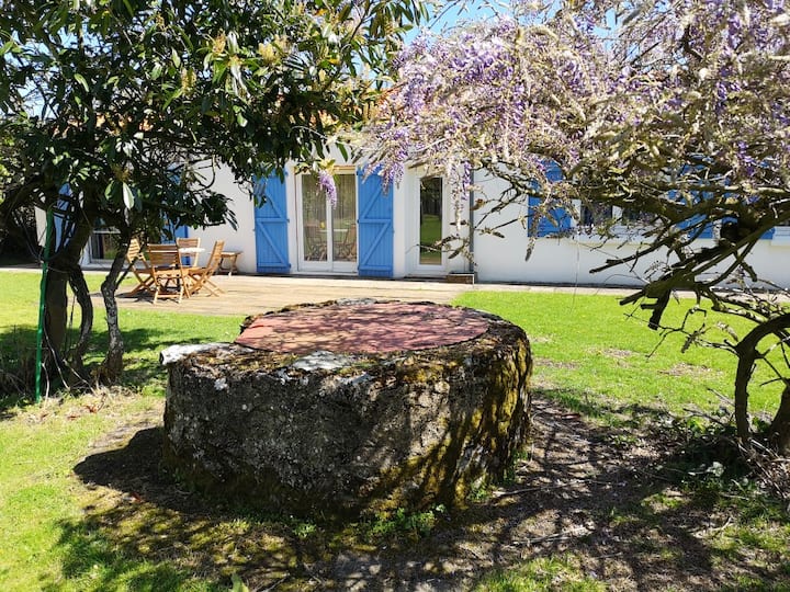 La Fauconnerie - Bourgneuf-en-Retz