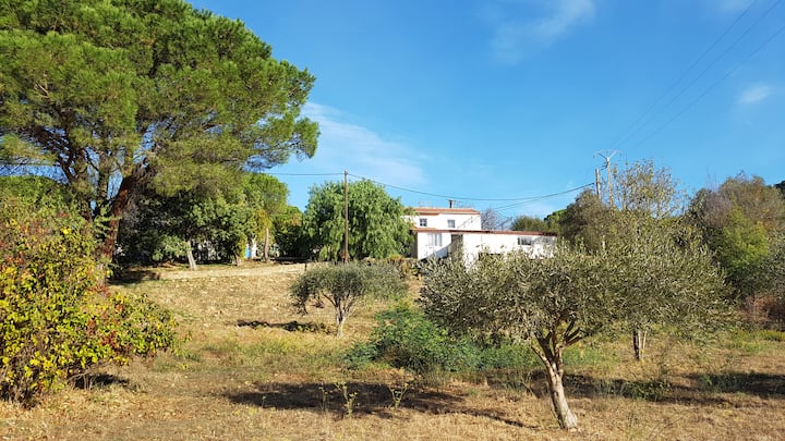 Maison Provençale Authentique Dans La Garrigue. - La Favière