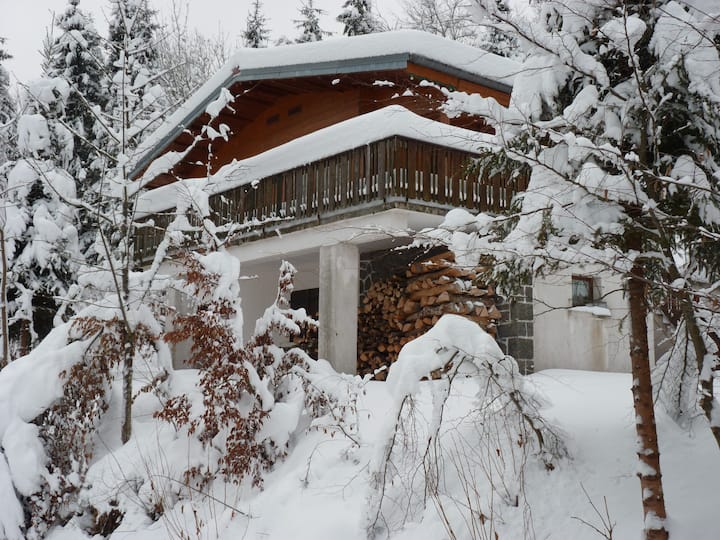 Chalet 400m Du Télésiège La Bresse Hohneck - Vosges