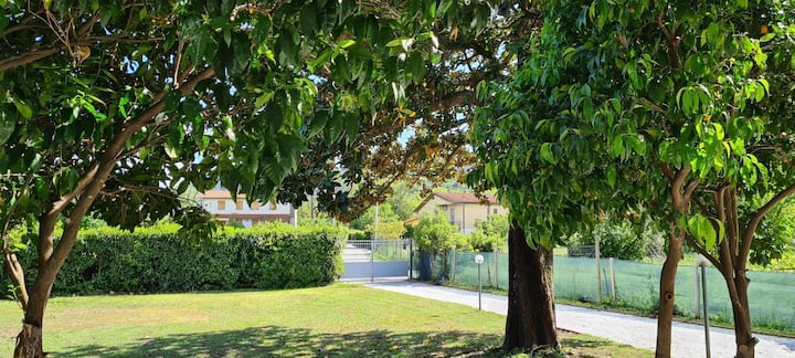 La Magnolia - Ameglia