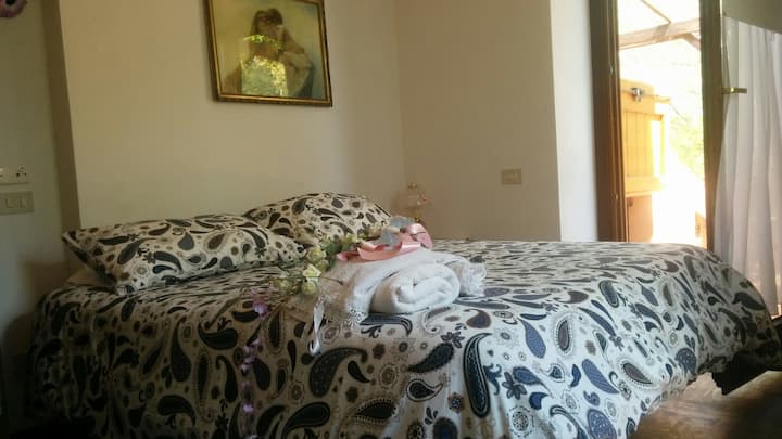 The Mimose B&b - Vinci