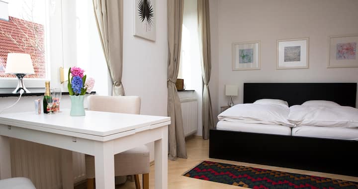 A Charming & Central Apartment - Viena