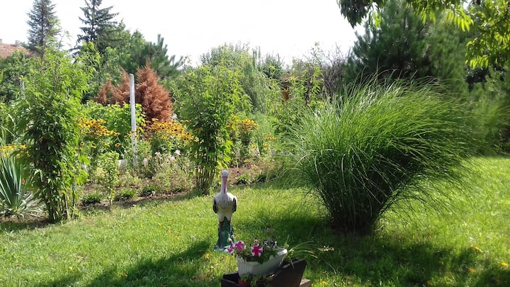 Eco Camping - Calafat