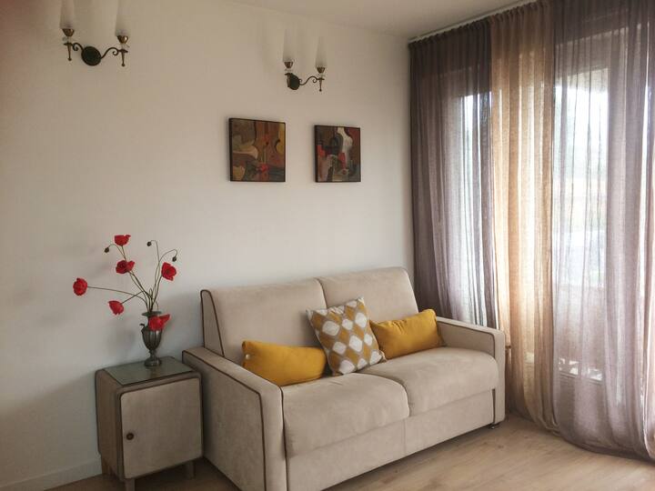 Super Appartement T2+parking+2 Vélos Centre Ville - Cap Ferret