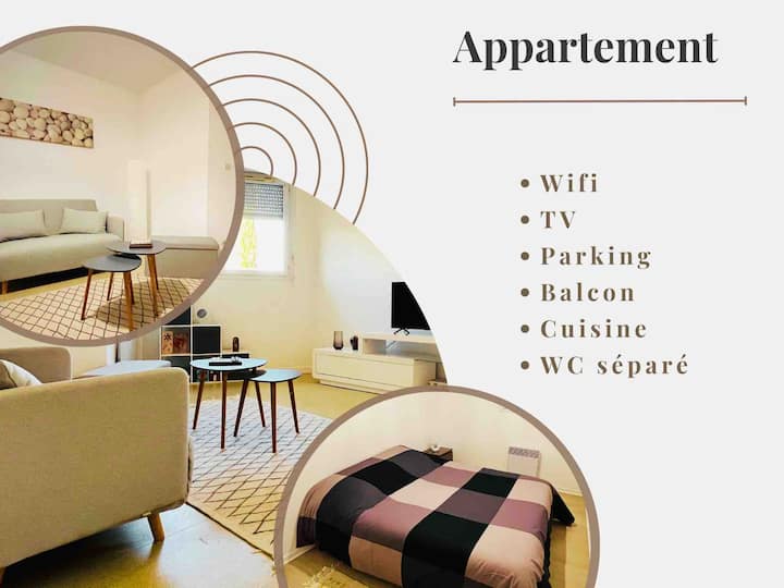 Appartement - Toulouse - Tournefeuille