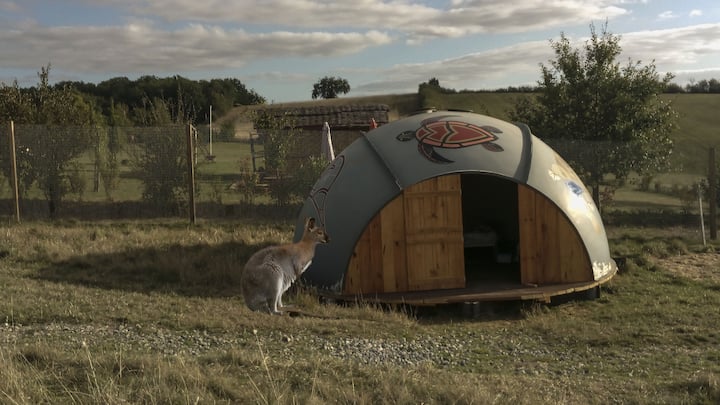 Une Nuit Chez Les Kangourous (Repas Compris) - Gers