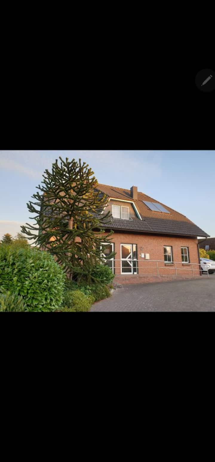 Stapel Domizil - Stapel