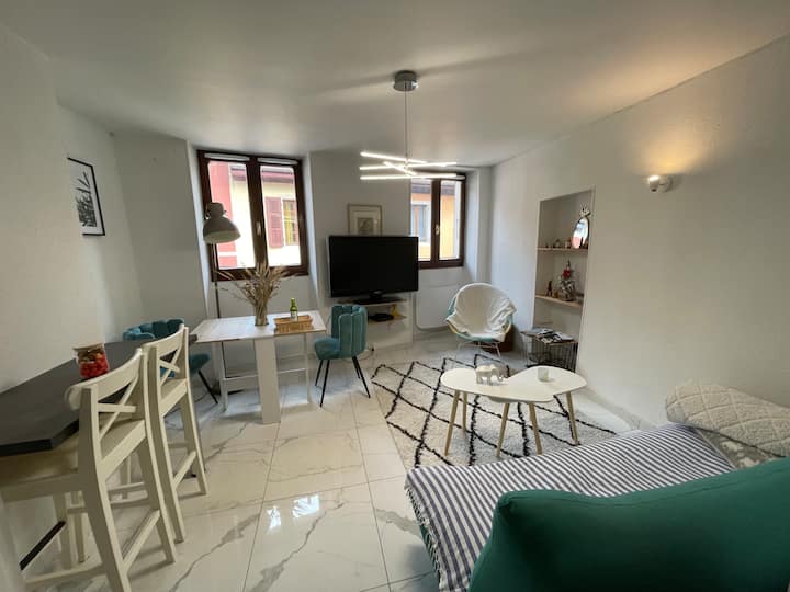 Cosy Duplex In The Heart Of Annecy ! - Annecy