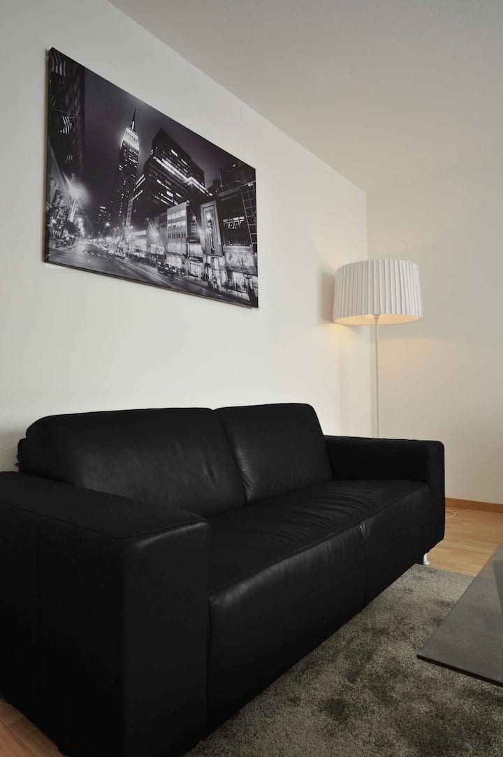 Appartement 2 Pièces Valentin Lausanne - 