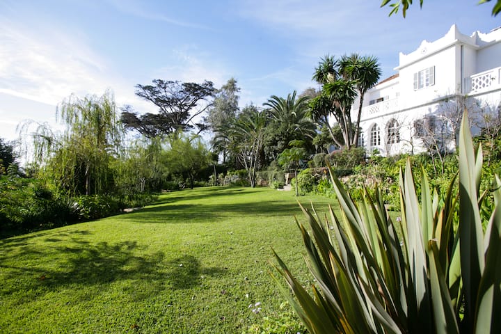 Dar Sinclair - Tangier