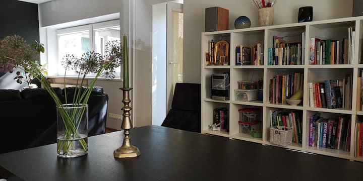 ČIurlionio Apartment. - Vilnius