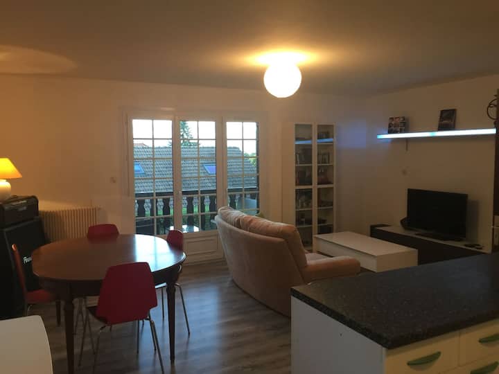 Charmant 3 Pièces 70m2 Proche Genève Et Montagne - Gex