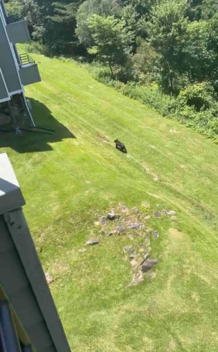 Ski View Apartments - Gatlinburg, TN