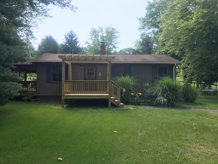 River View Cabin~ Pet Friendly~mt Views~hot Tub - Luray, VA