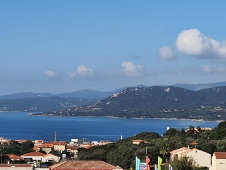 T3, Vue Mer Et Montagnes, 5 Min Des Plages - Propriano