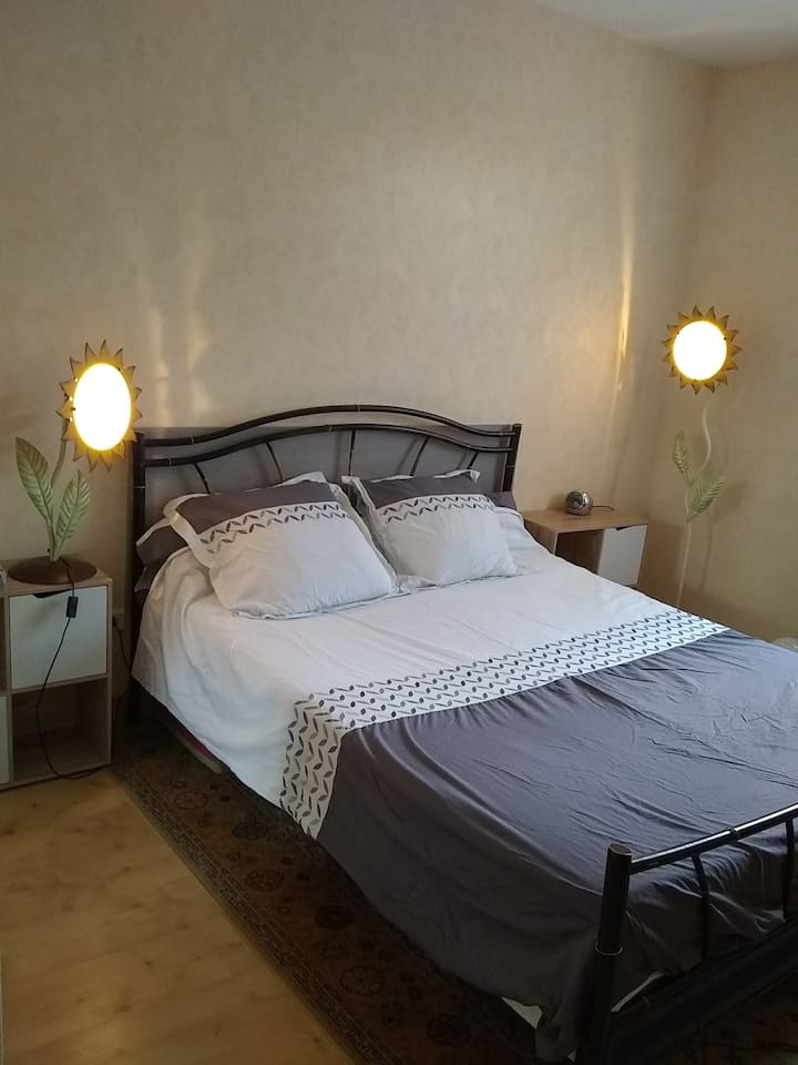 Calme Et Joli : Chambre Sdb+wc Pièce De Vie, Privé - Albi