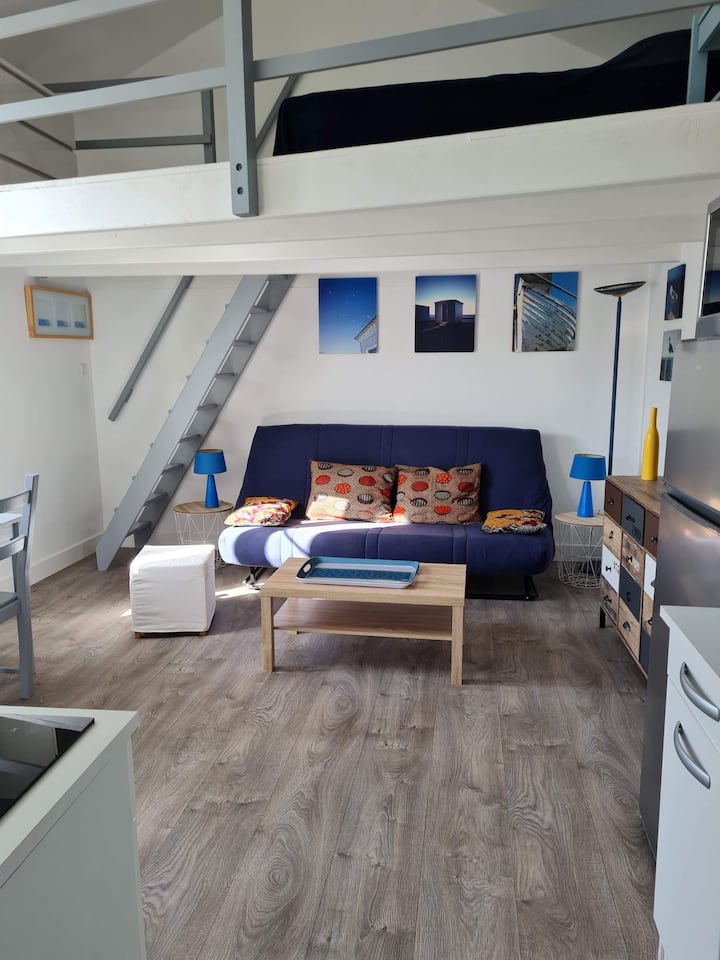 Appart Avec Mezzanine, Jardin, La Rochelle - La Rochelle