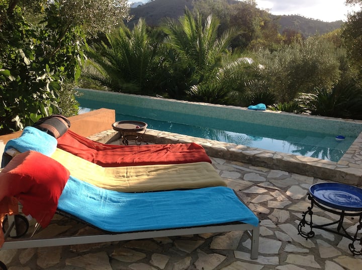 Olive Alchemy Retreat With Pool - Fern - Zahara