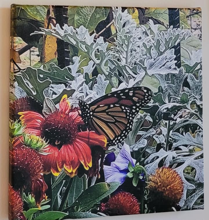 Peaceful Butterfly Cottage
 ~
Into Appalachia - Asheville, NC