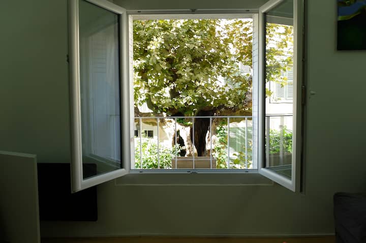 Studio Design Centre Historique, Calme Absolu - Avignon