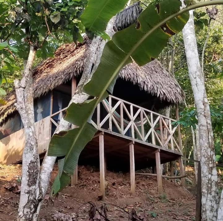 Jungle Tambo Stay - Connect To Nature - Tarapoto