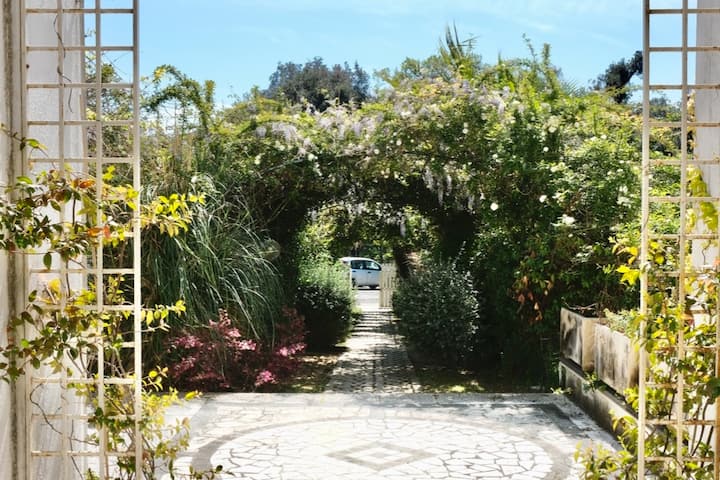 Villeggiatura In Villa Anzio - Anzio