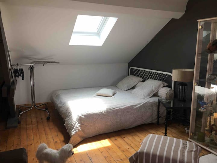 Joli Loft De 50 M , Un Petit Nid D’amour - Reims