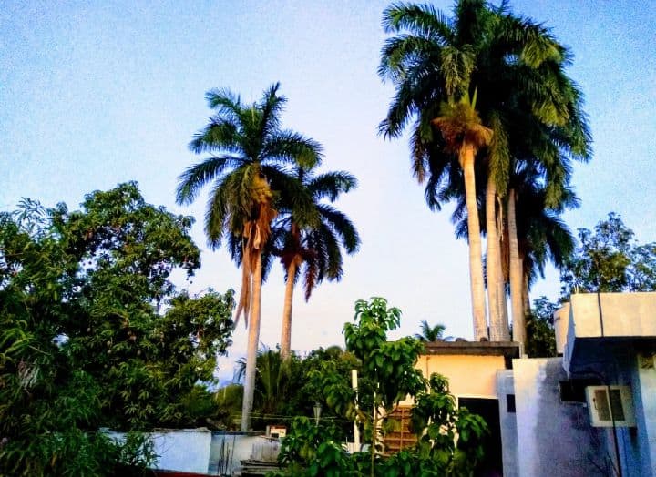 Céntrico Apartamento Con Terraza. - Ciudad Valles