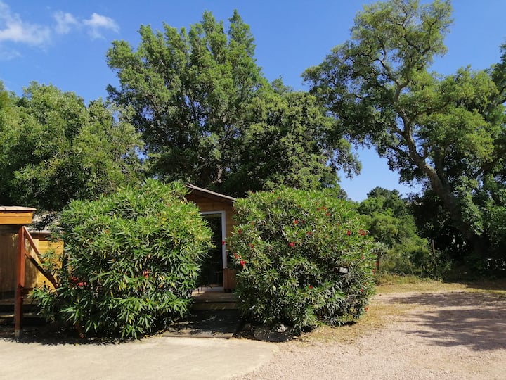 Charmant Chalet Studio Climatisé Pour 2 Personnes - Porto-Vecchio
