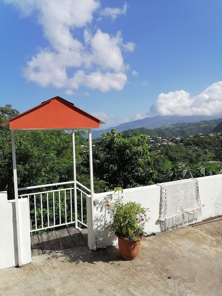 Appart Vue Sur La Montagne Pelée Et Ses Pitons - Le Morne Rouge