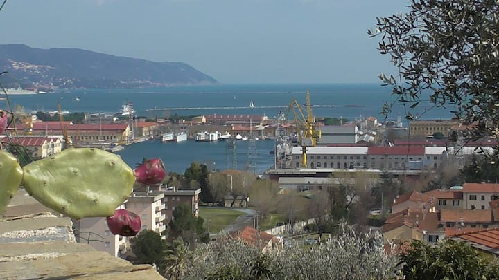 Le Golfe Et Les Citrons - La Spezia