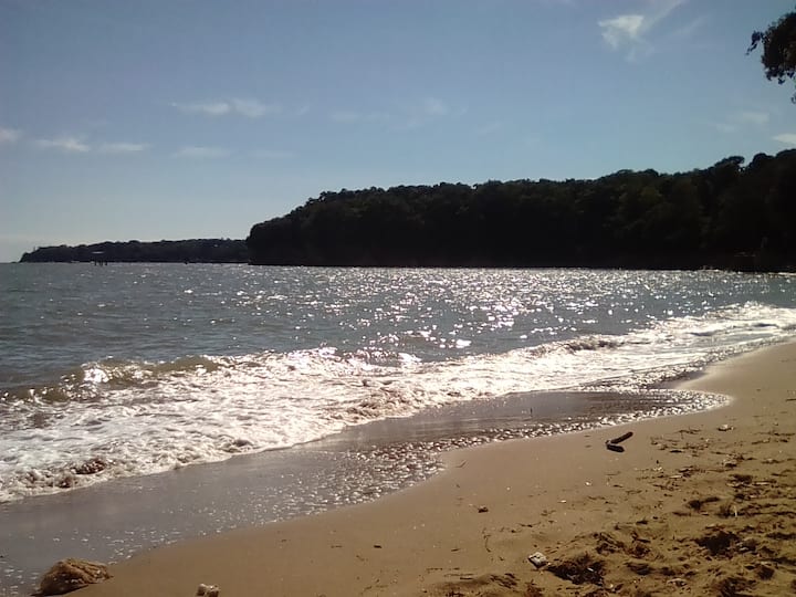 Lousana - ibis Styles Saint Nazaire Centre Gare