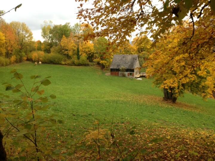 La Grange Gebraech - Munster, France