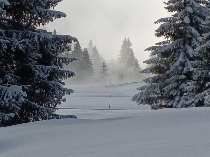 Studio Praz-de-lys - France