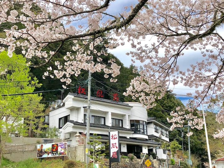 Yuya-onsen湯谷温泉 Japanese Hot Spring Hotel - Hamamatsu