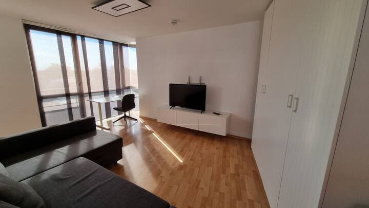 Ferienwohnung Apartment In The City Of Worms - Worms
