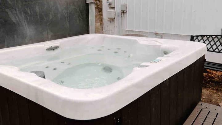 Pickle Ball & Volley Ball Nets | Hot Tub| Beach - New Buffalo, MI